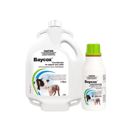 Baycox Coccidiocide Pig & Cattle CanadaVet