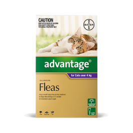 Advantage Cat Large Over 9lbs Purple CanadaVet