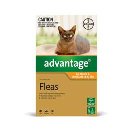 Advantage Kitten & Cat Small Up To 9lbs Orange CanadaVet