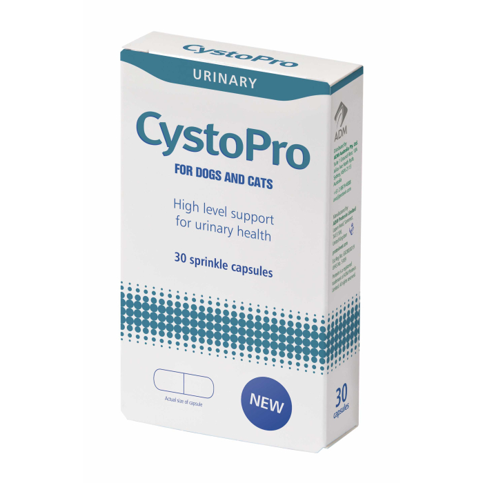 CystoPro Urinary Dog & Cat 30 Capsules CanadaVet