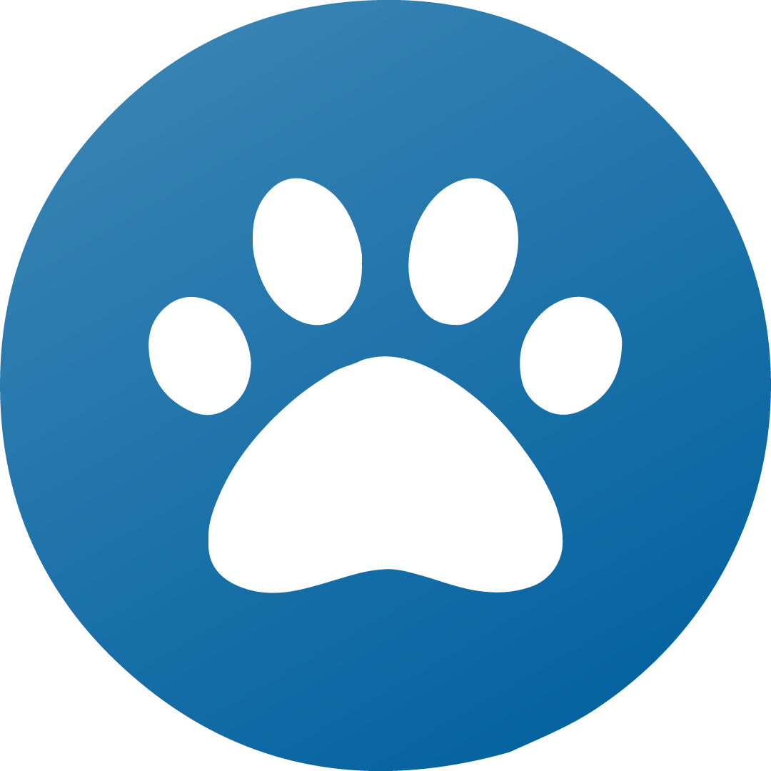 Ceva DMG Injection 100mL