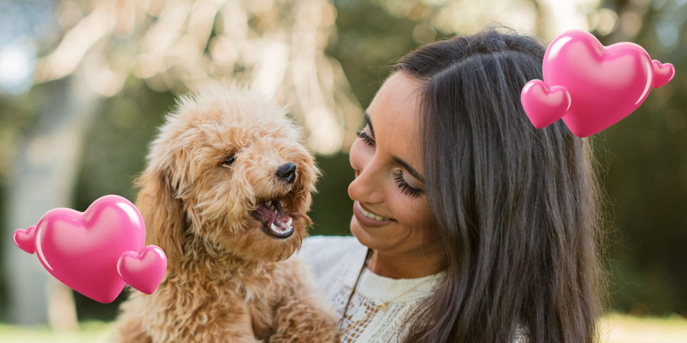 Recognizing Your Dog's Need for More Affection | CanadaVet Blog