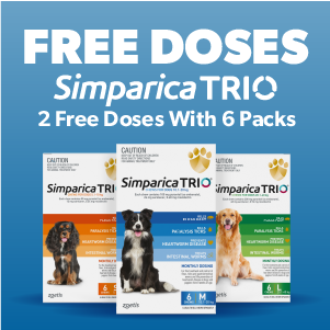 Pet Meds Without Vet Prescription | CanadaVet - $5 OFF